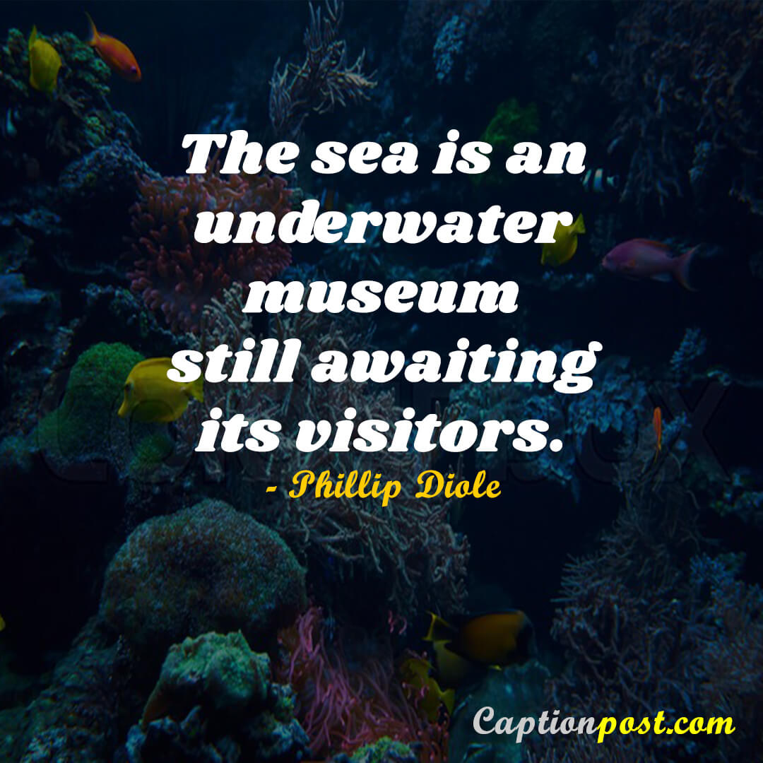 40+ Beach Quotes Captions, & Sayings for Ocean Lovers - Captionpost
