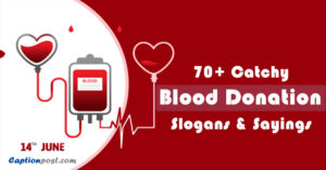 70+ Catchy Blood Donation Slogans & Sayings - Captionpost
