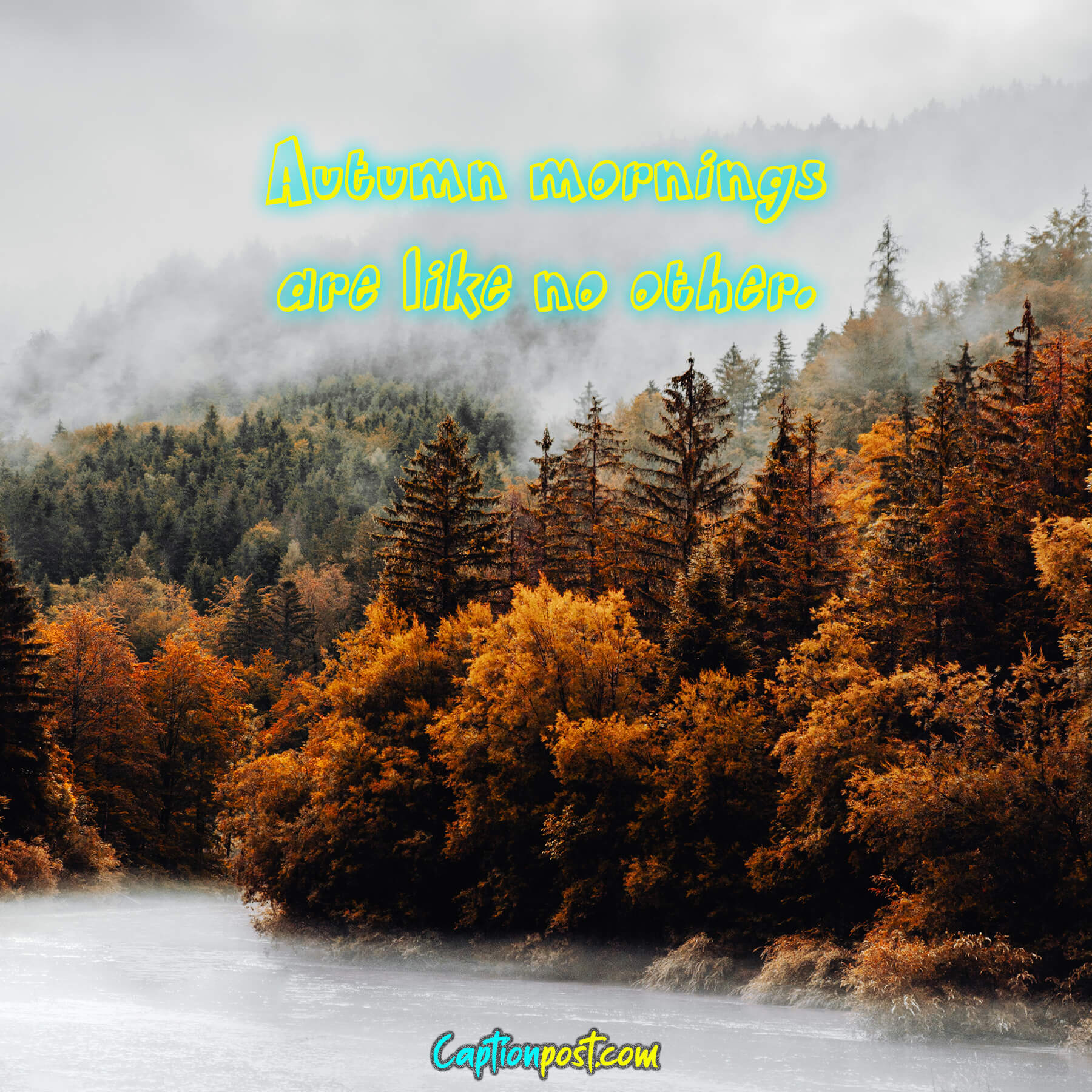 Fall Captions to use When You’re Falling for Autumn - Captionpost