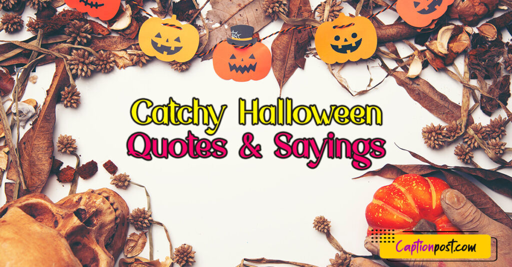 Catchy Halloween Quotes & Sayings - Captionpost