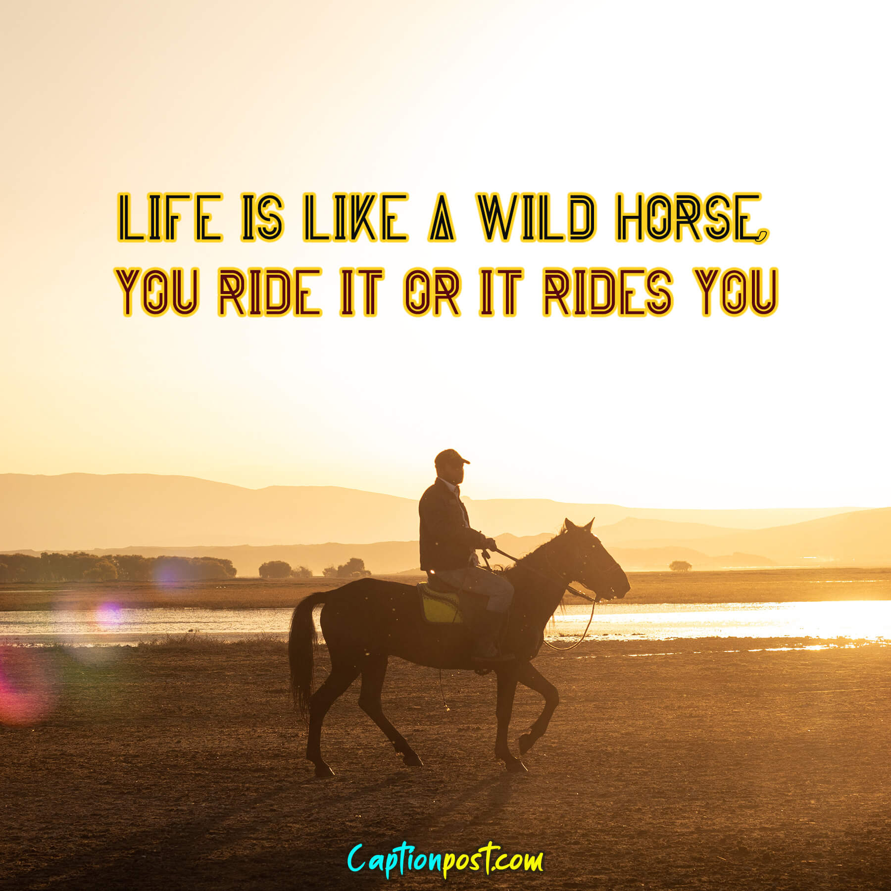 Horse Lover Captions for The Perfect Instagram Post - Captionpost