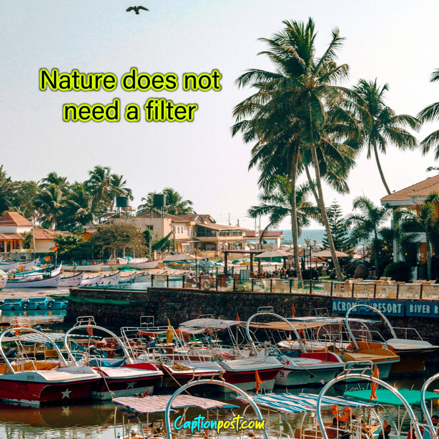 70+ Catchy Captions for Your Goa Pictures - Captionpost