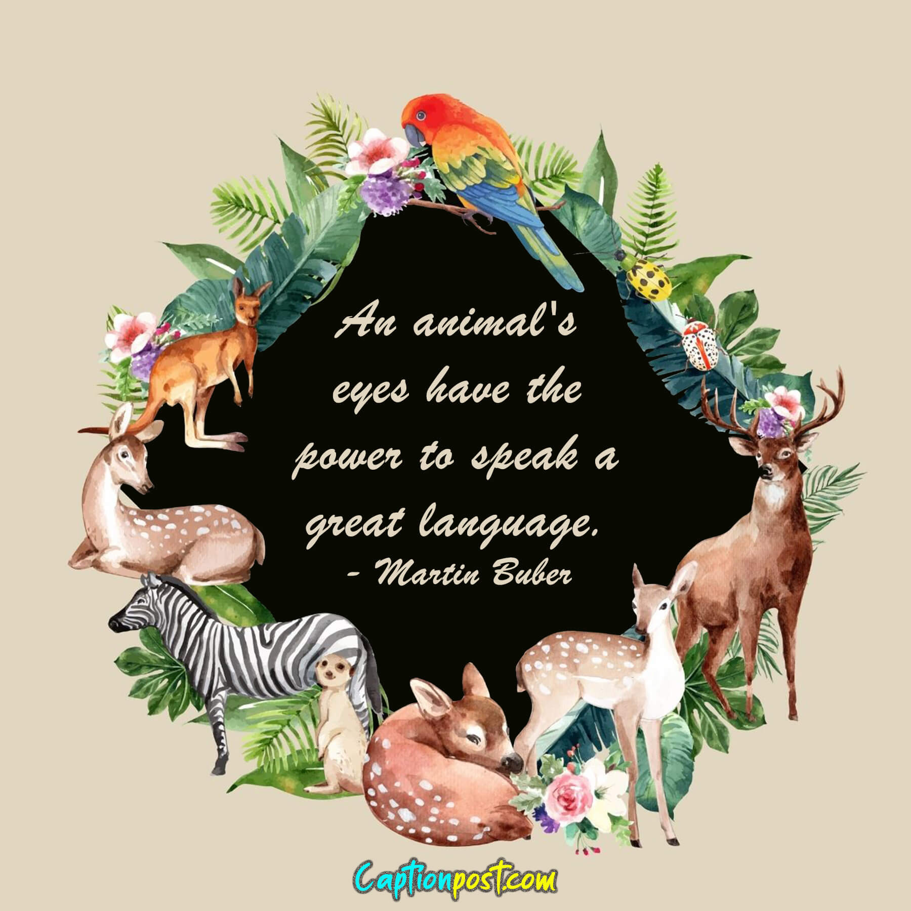 World Wildlife Day Quotes & Slogans - Captionpost