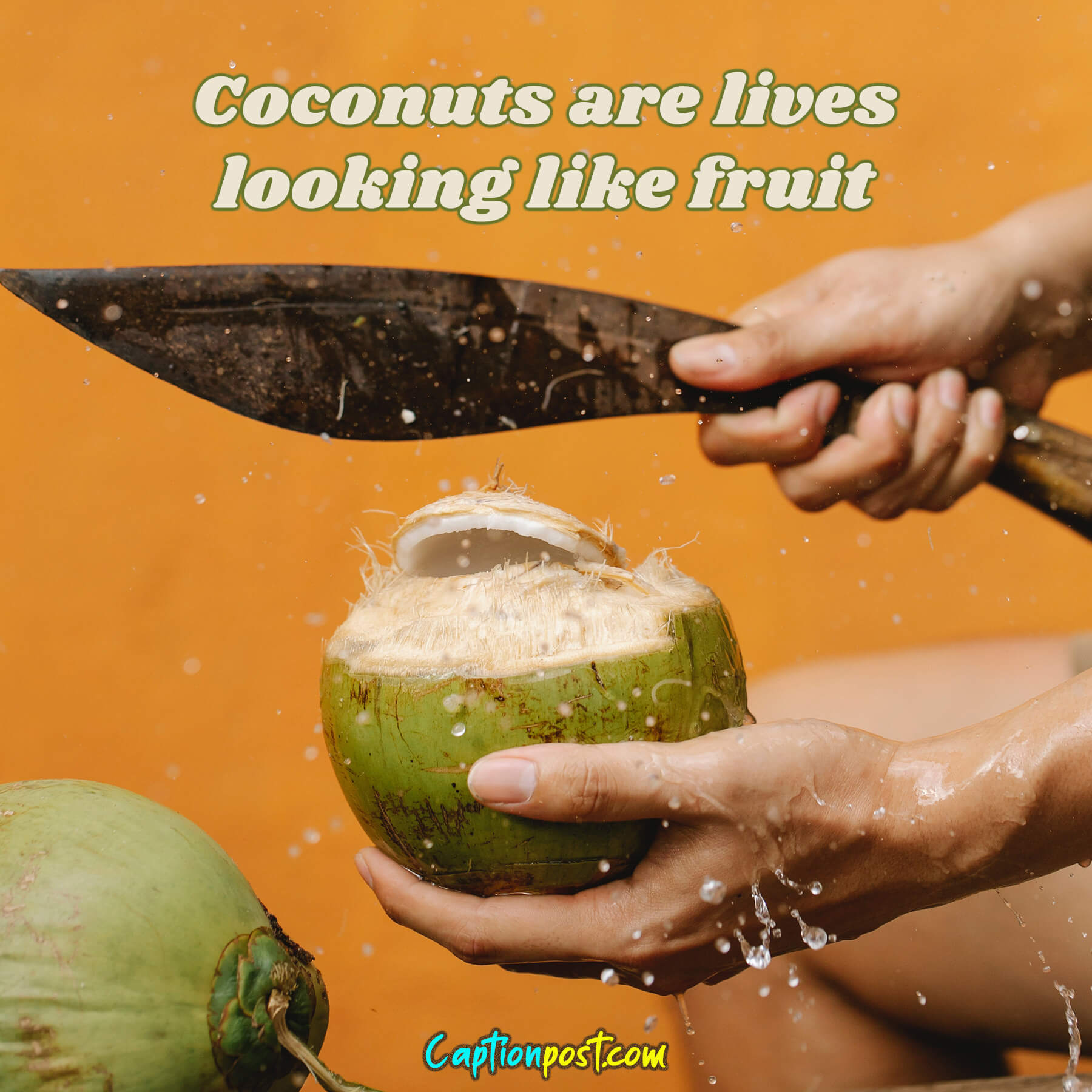 Coconut Captions To Your Next Poolside Cocktail Pic - Captionpost