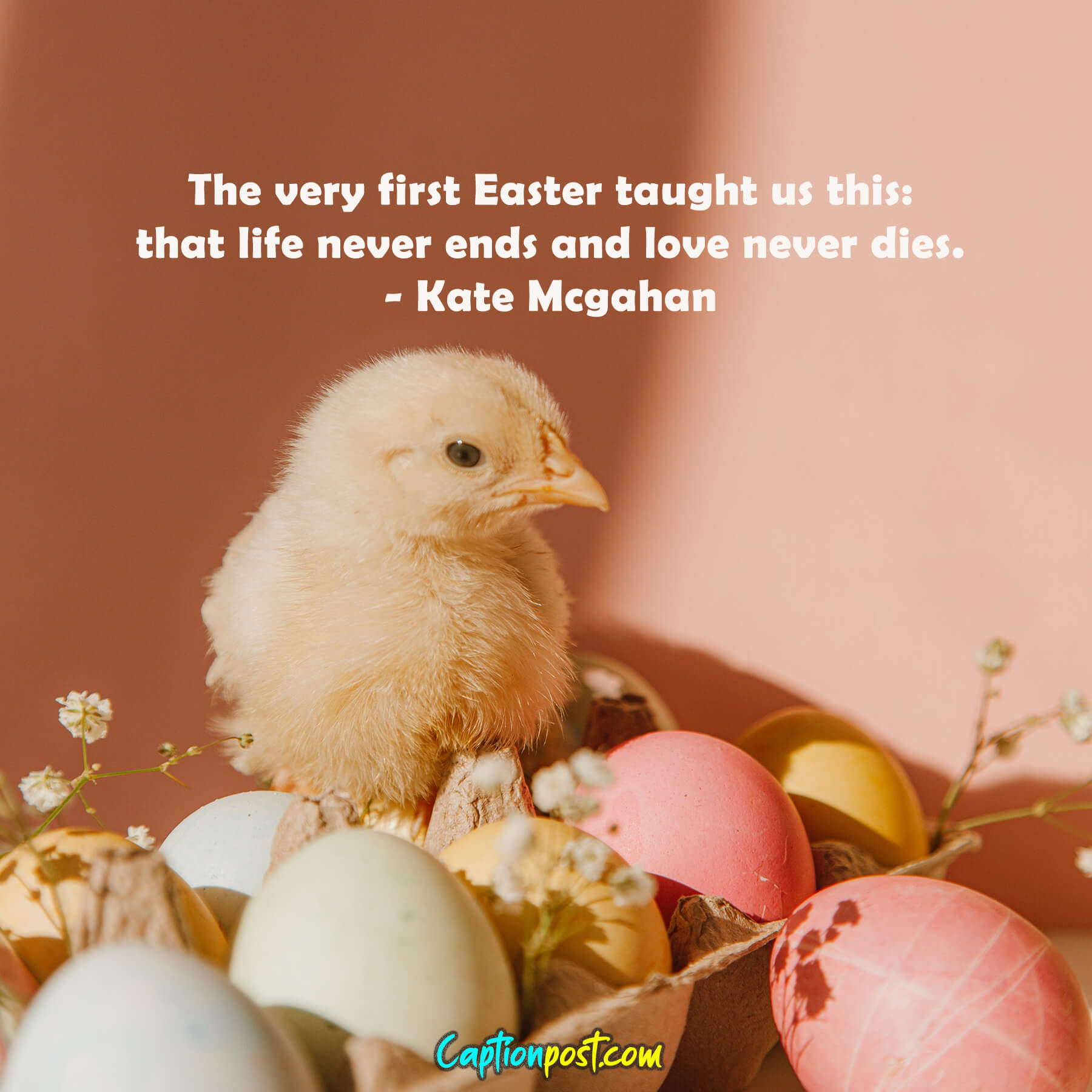 55+ Best Easter Quotes To Celebrate the Season - Captionpost