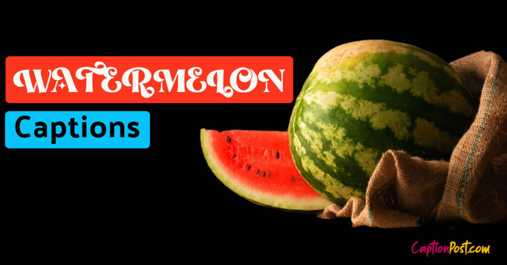75+ Watermelon Captions For Instagram - Captionpost
