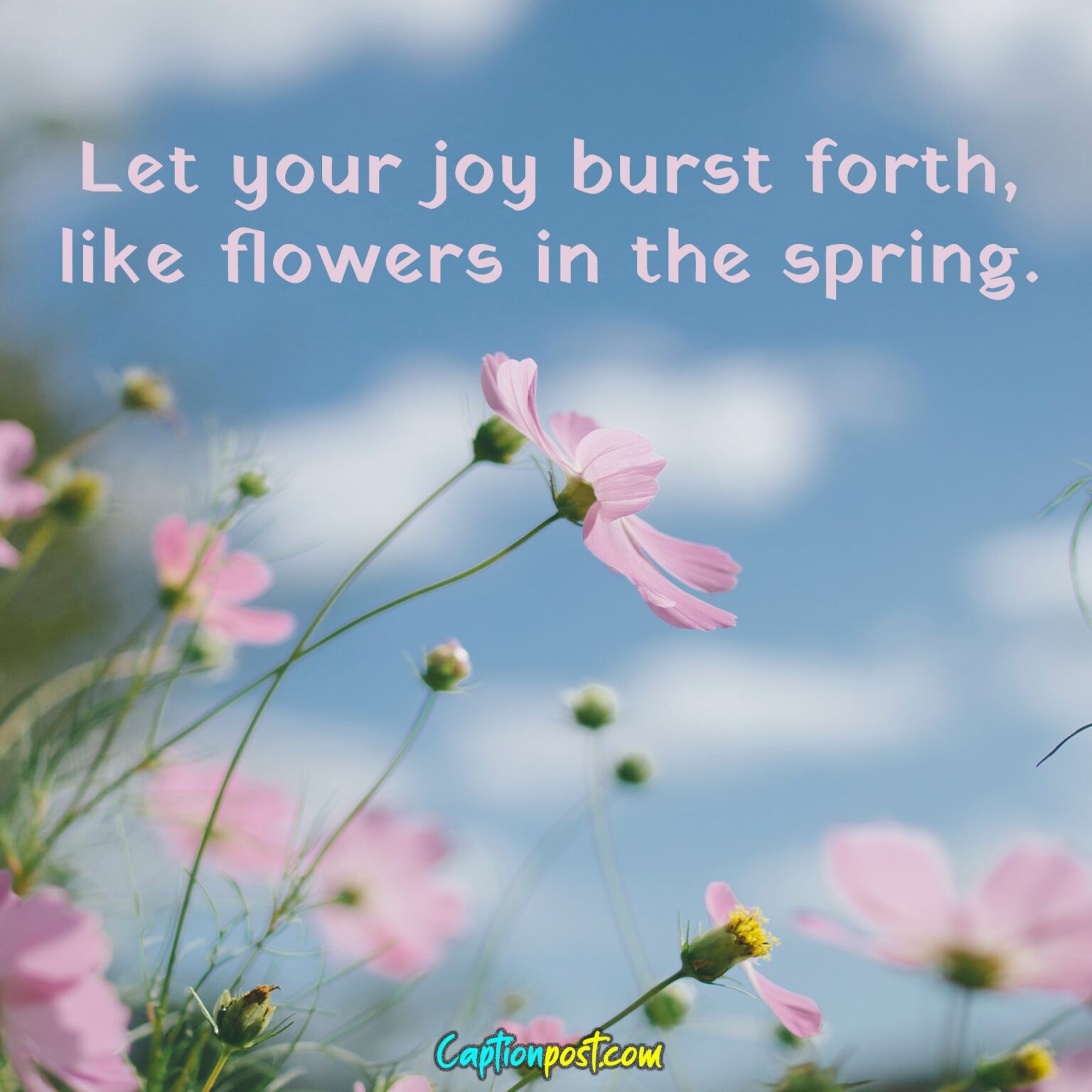 78+ Spring Captions That Will Make Your Posts Pop - Captionpost
