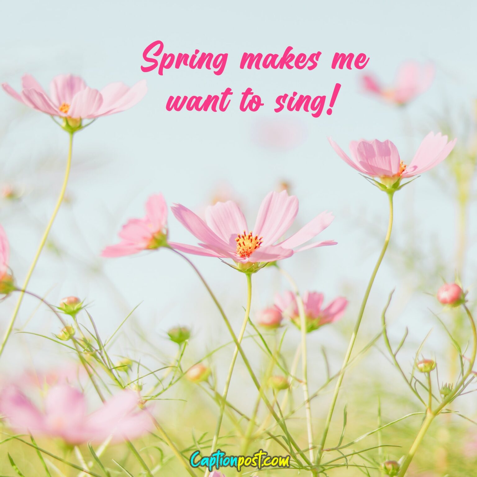 78+ Spring Captions That Will Make Your Posts Pop - Captionpost