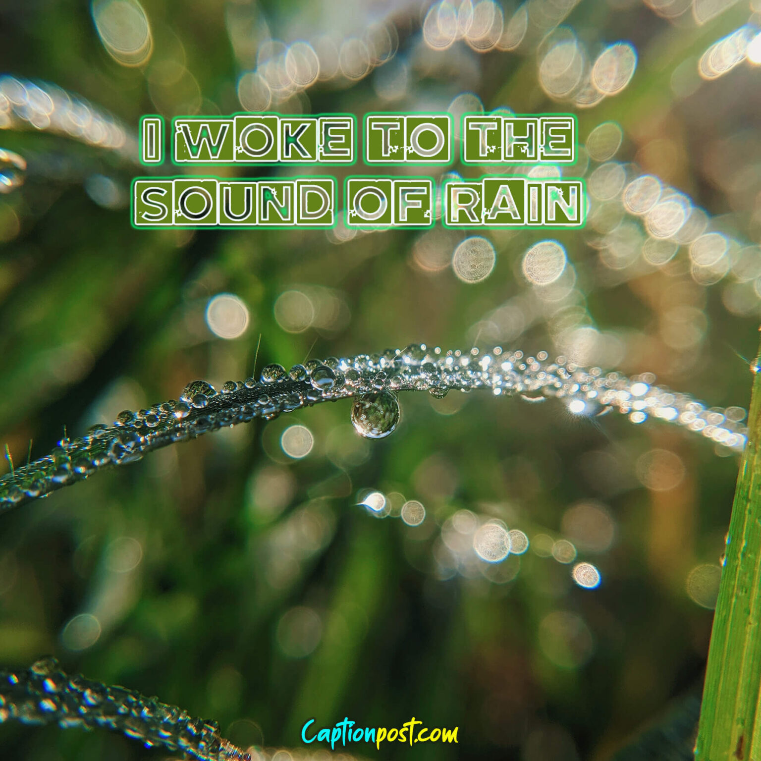 Best Rain Captions For Instagram Monsoon Captions - Captionpost